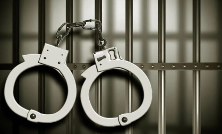 Four Arrested in Revenue Fraud Case, Tehsildar Among Three Still ...
