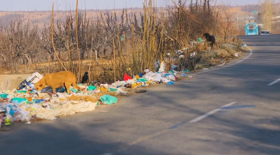 Illegal plastic dumping mars Gumbroo Tosamaidan tourist road - Kashmir ...